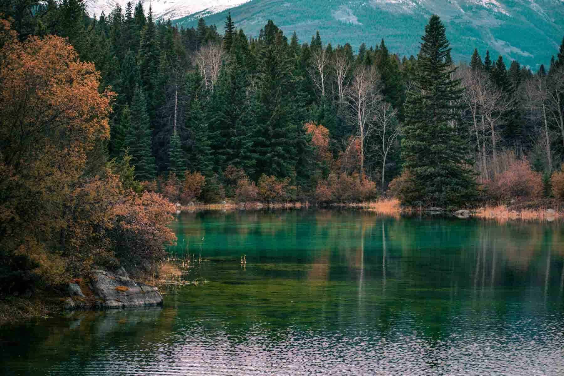Top 10 Things to do in Jasper National Park - Avenly Lane Travel
