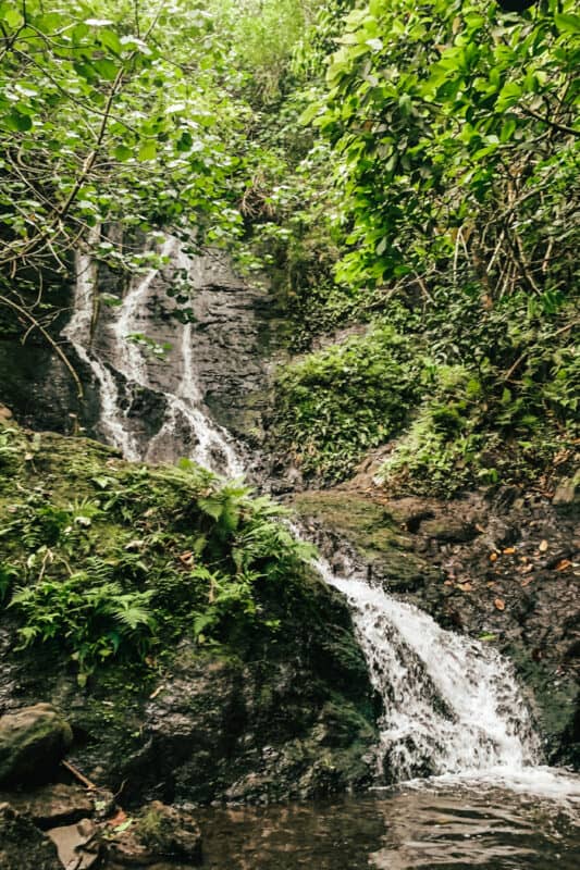 Likeke Falls Trail on Oahu - Avenly Lane Travel