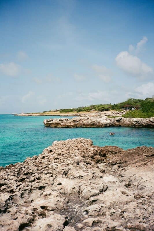 Malmok Beach (Best Snorkeling in Aruba!) - Avenly Lane Travel