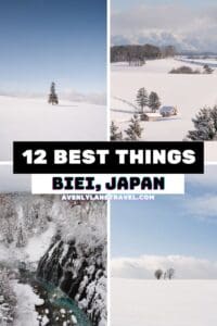 12 Best Things to do in Biei, Japan (Winter) - Avenly Lane Travel