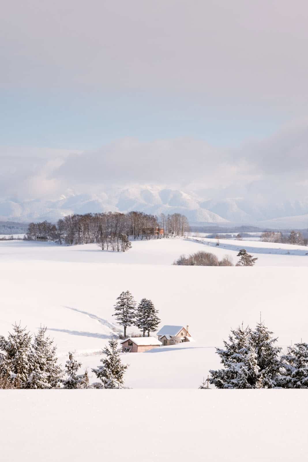 12 Best Things to do in Biei, Japan (Winter) - Avenly Lane Travel