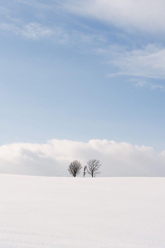 12 Best Things to do in Biei, Japan (Winter) - Avenly Lane Travel