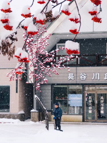 12 Best Things to do in Biei, Japan (Winter) - Avenly Lane Travel