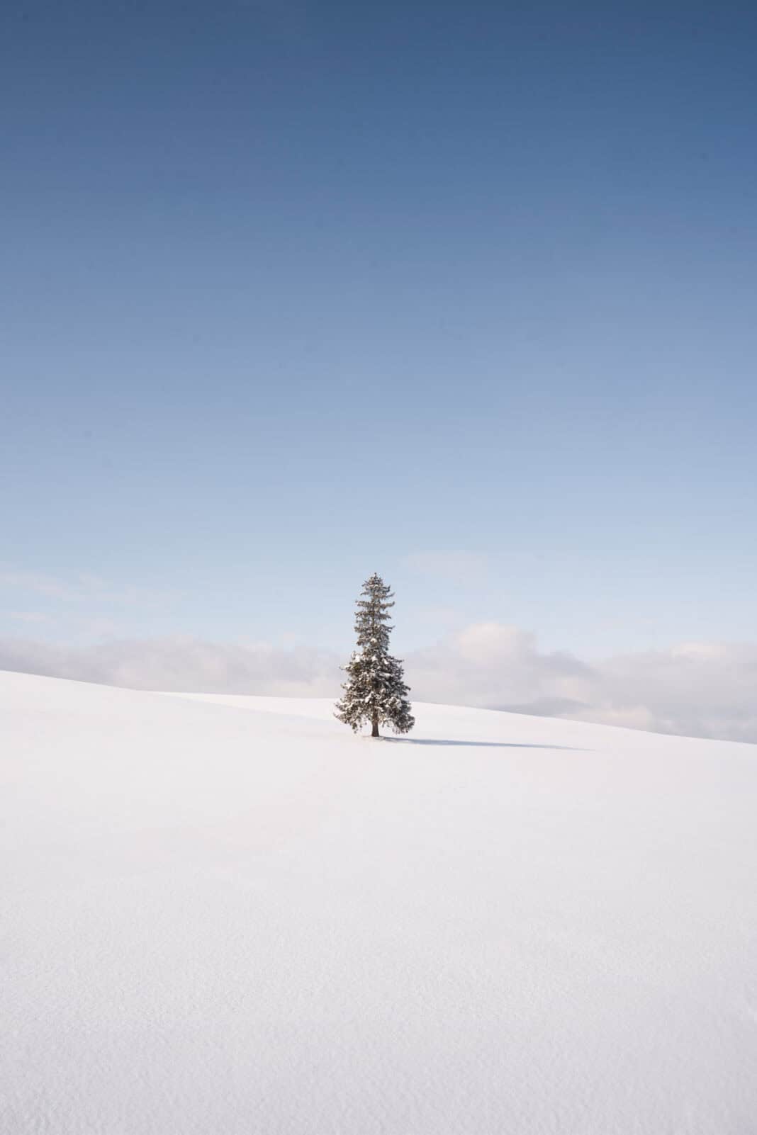 12 Best Things to do in Biei, Japan (Winter) - Avenly Lane Travel